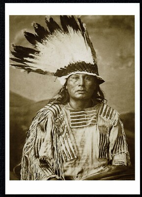⫸ 912 Postcard GALL, Hunkpapa Sioux Indian Chief 1882 George Scott ...