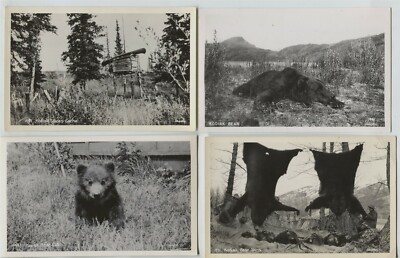 4 Vintage Alaska Kodiak Bear Real Photo Postcards RPPC | eBay
