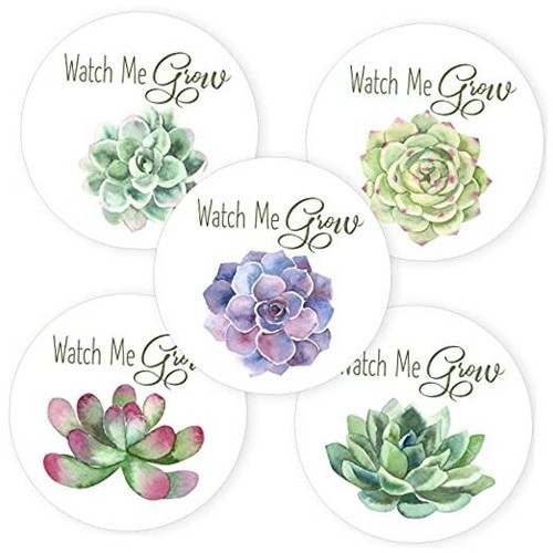 Succulent Watch Me Grow Stickers For Baby Shower Greenery Party by ...