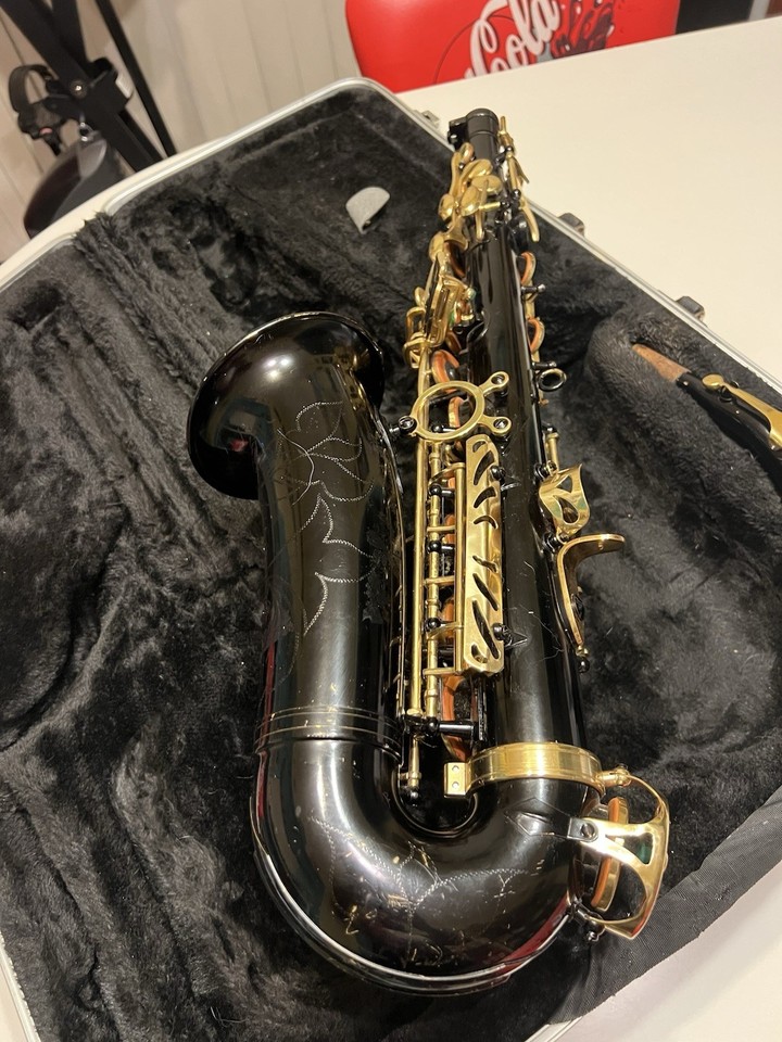 Bundy Alto Saxophone Musical Instrument with Hard Case | eBay