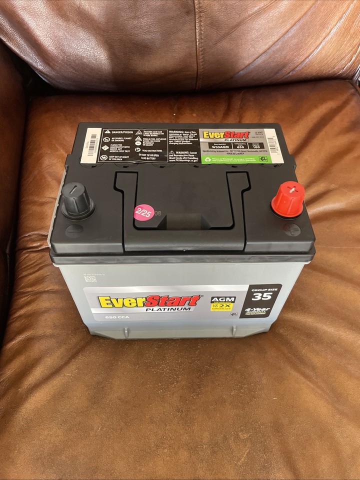 EverStart Platinum AGM Automotive Battery, Group Size 35 12 Volt, 650 ...