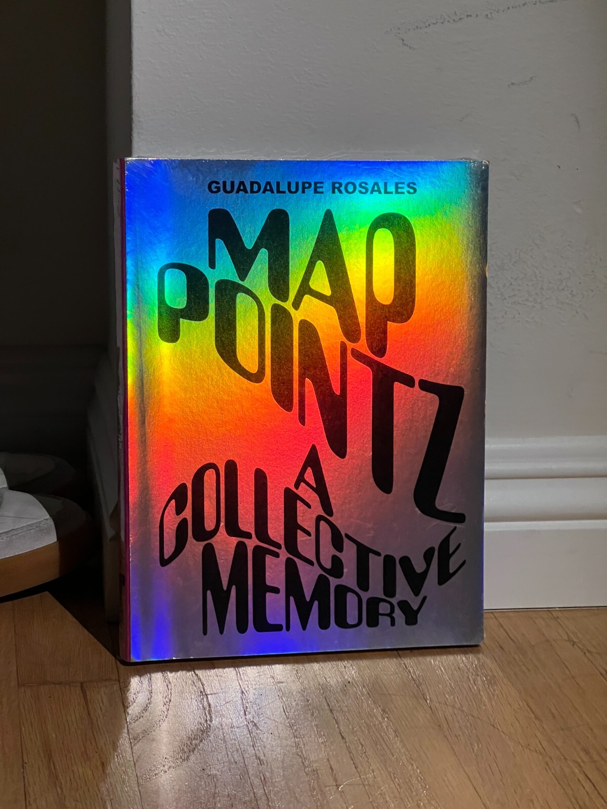 Map Pointz : A Collective Memory by Guadalupe Rosales (2018, Trade ...
