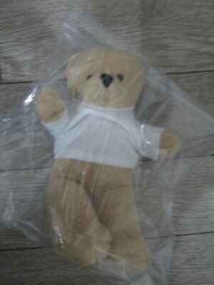 sublimation Teddy Bear blanks job lot of 13 (22cm) (0016) | eBay