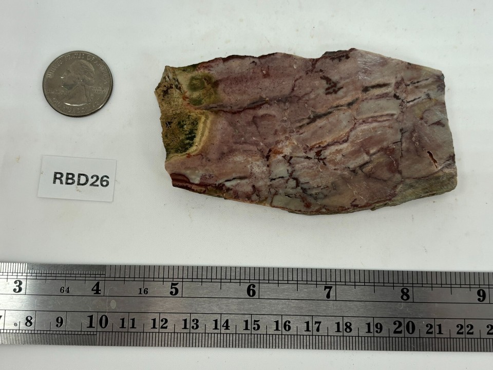 Red Butte Dendritic Jasper slab Cabbing Lapidary Combo ship avail | eBay