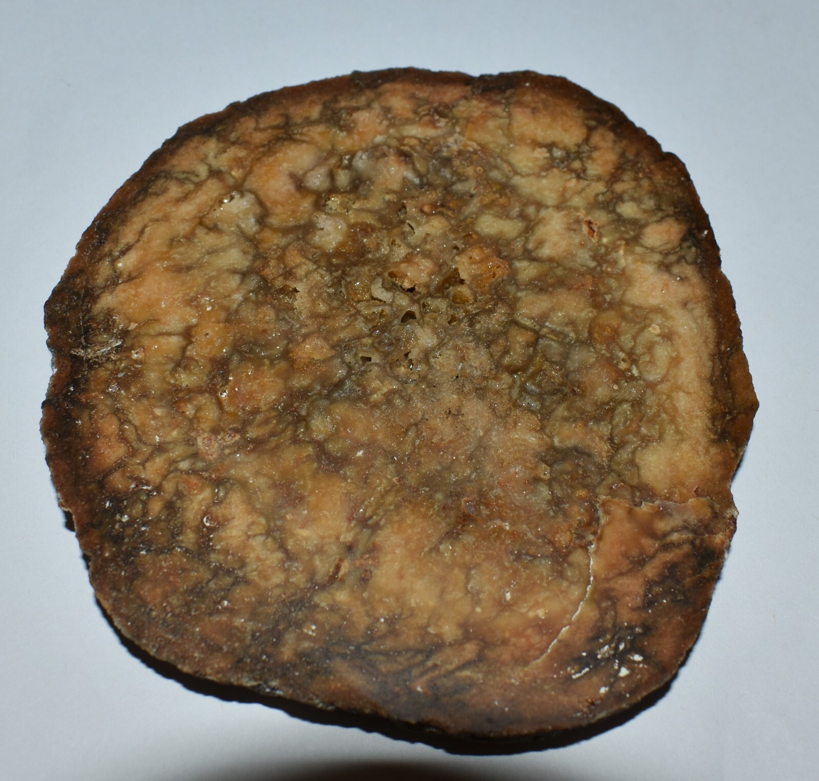 Brain Geode Drusy Chalcedony from North Carolina USA Polished Slab | eBay