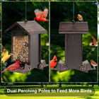 Squirrel Proof Bird Feeder for Outdoor Hanging,Metal Bird Seed Feeder ...