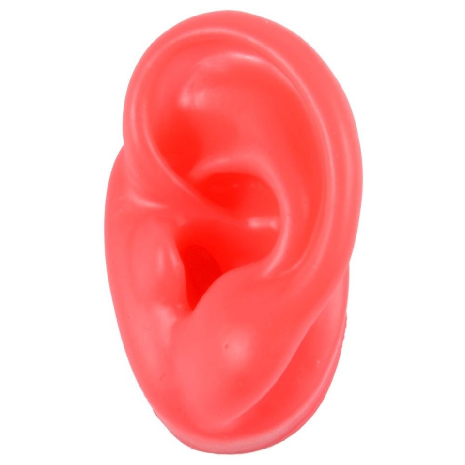 Silicone Piercing Model Ear Stud Display Tools Medical Teaching Props ...