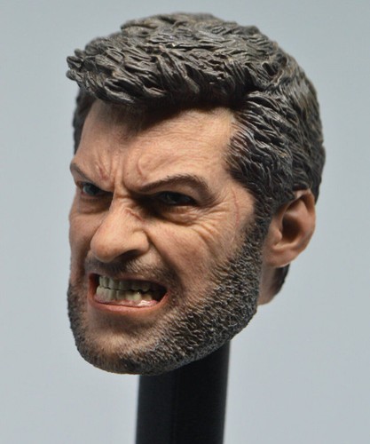 1/6 Wolverine Head Sculpt Angrily LOGAN for 12" Hot Toys pPhicen Coo ...