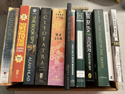 Lot of 12 Large Trade Paperback Books fiction VG or better condition ...