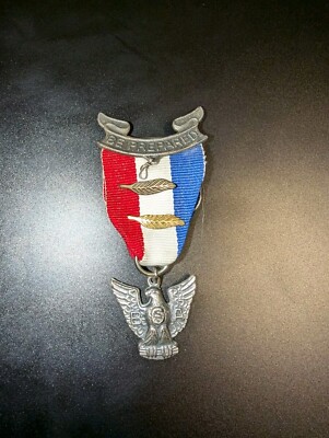 Vintage BSA EAGLE SCOUT Rank MEDAL 2 Palms Boy Scouts Award Badge Pin ...