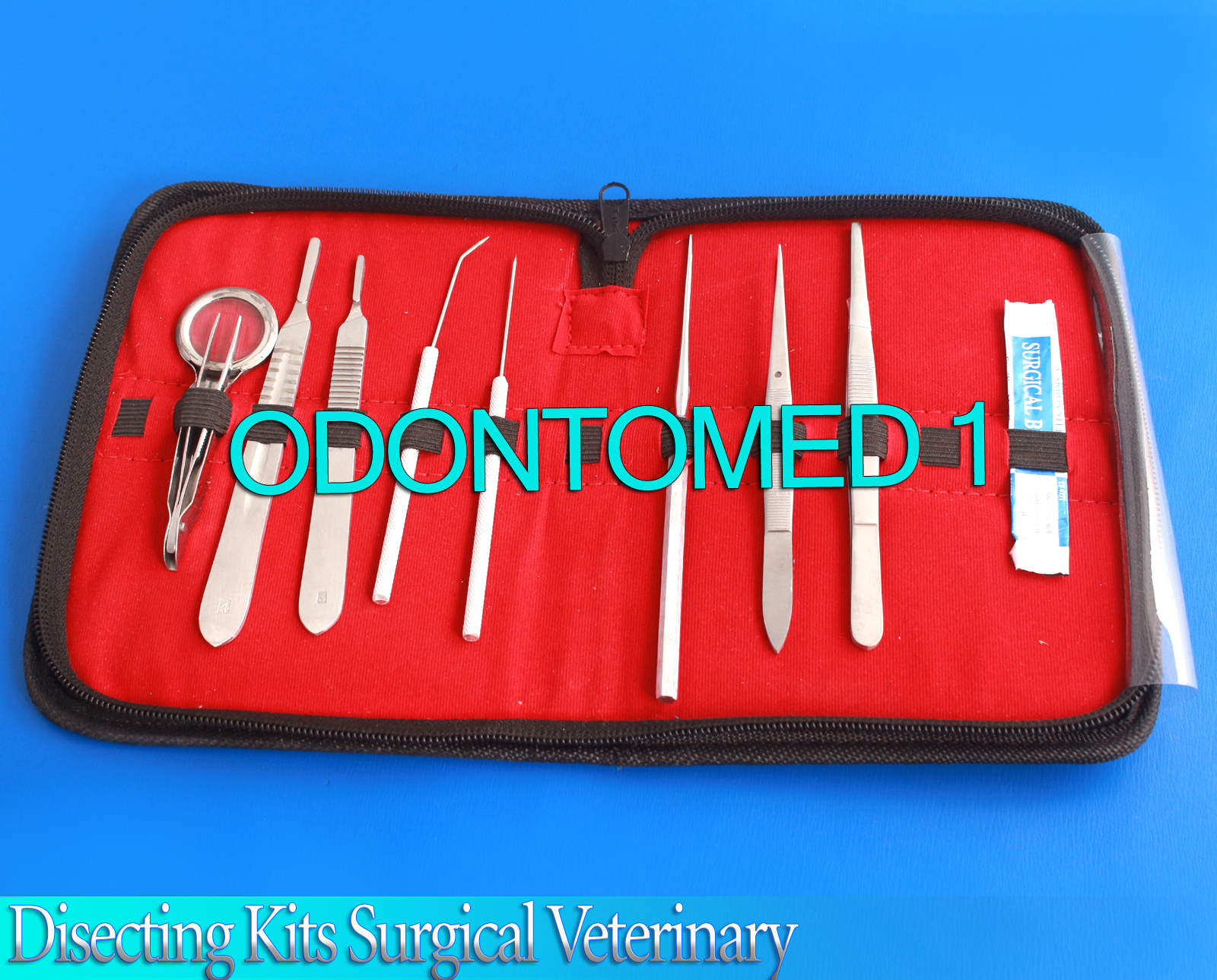 Disecting kits Surgical Veterinary Dental Instruments | eBay
