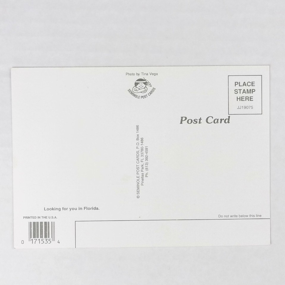 Vintage Seminole Post Card Florida Beach Blonde Model Yellow Swimsuit ...