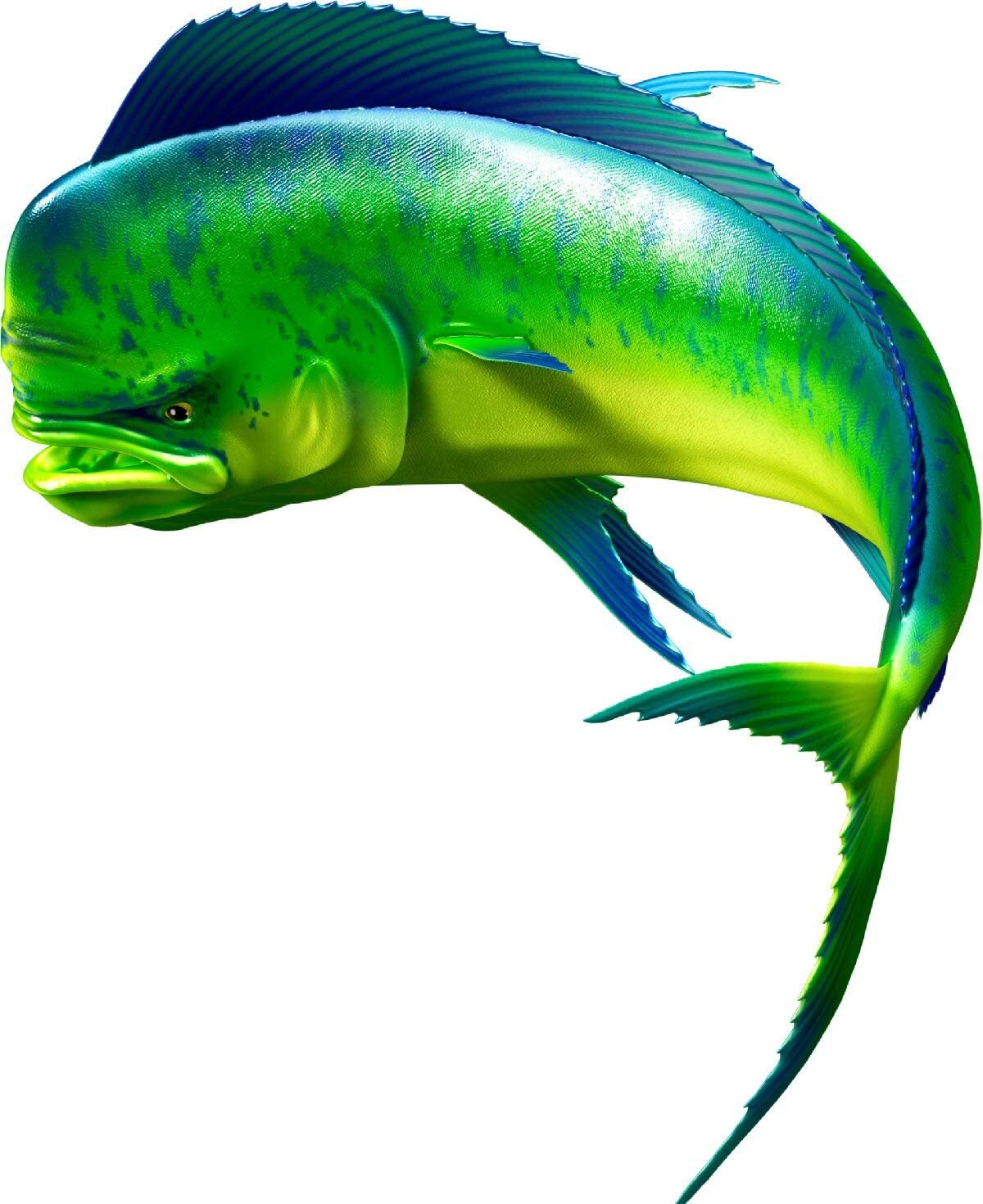 Mahi Mahi Beautiful Vinyl Sticker Fish Decals for Boat Car Vehicle ...