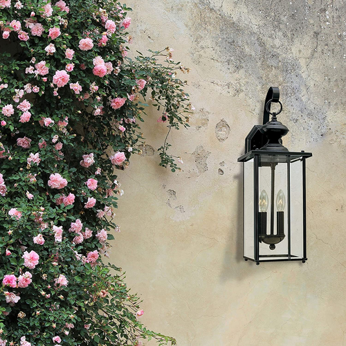 Generation Lighting 8468-12 Jamestowne Transitional Two - Light Outdoor Wall Lan | eBay