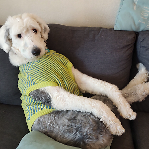 Hunters | eBay Stores