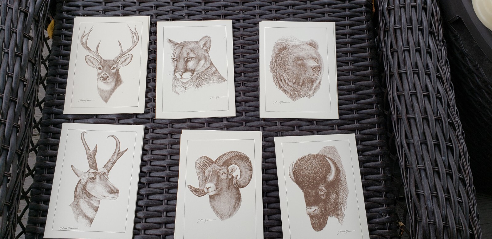 NRA Natl Rifle Association Big Game Note Cards Deer Bison Cougar ...