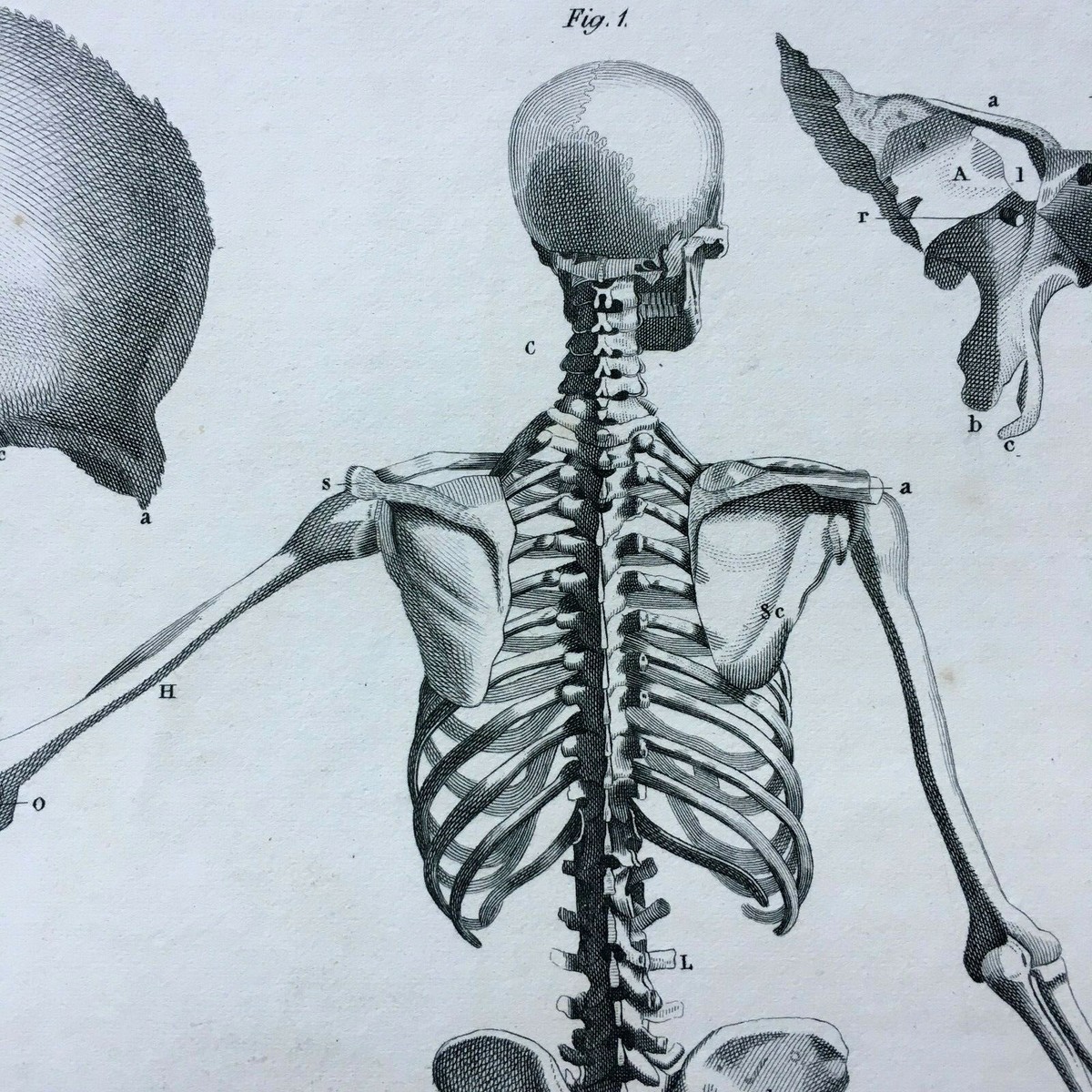 Mappa Della Costa Scheletrica
