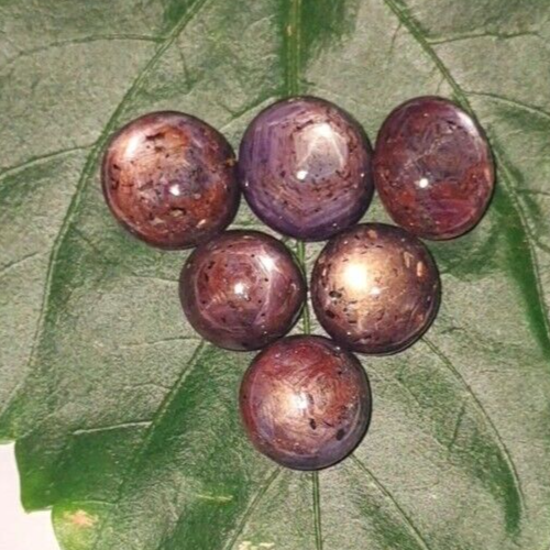 STAR RUBY NATURAL MULTI-COLOR 126.30 Ct WHOLE SALE LOT CABOCHON LOOSE ...