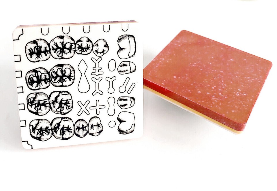 1Pc Dental Cavity Preparation Hole Dentin Shooch Practise Model Filling ...