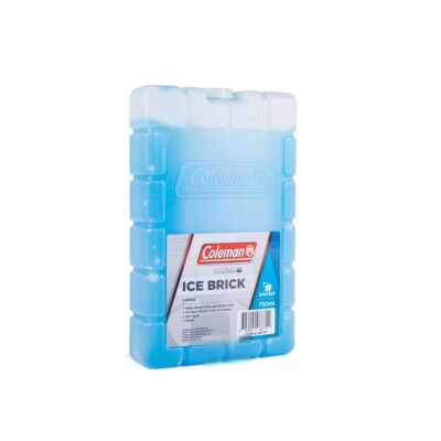 COLEMAN Ice Brick Large | eBay