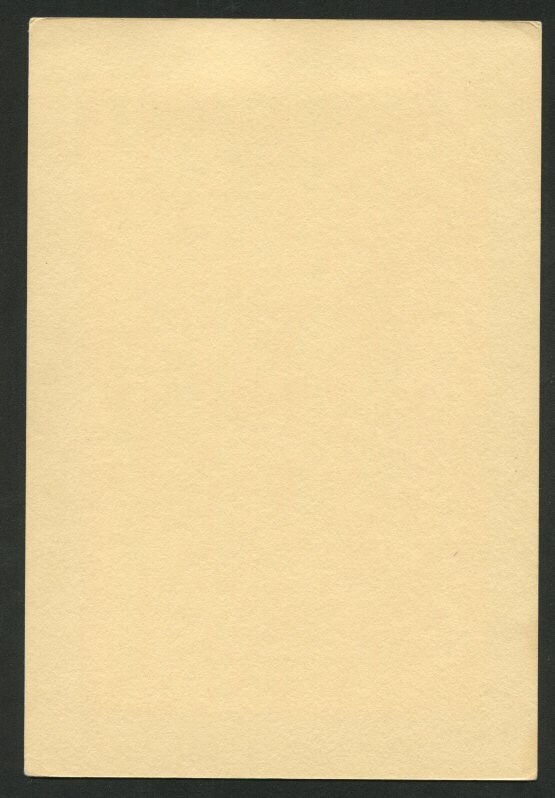 DAVID A KERR NEW YORK RANGERS BEEHIVE HOCKEY PHOTO---GROUP 1...GOALIE ...