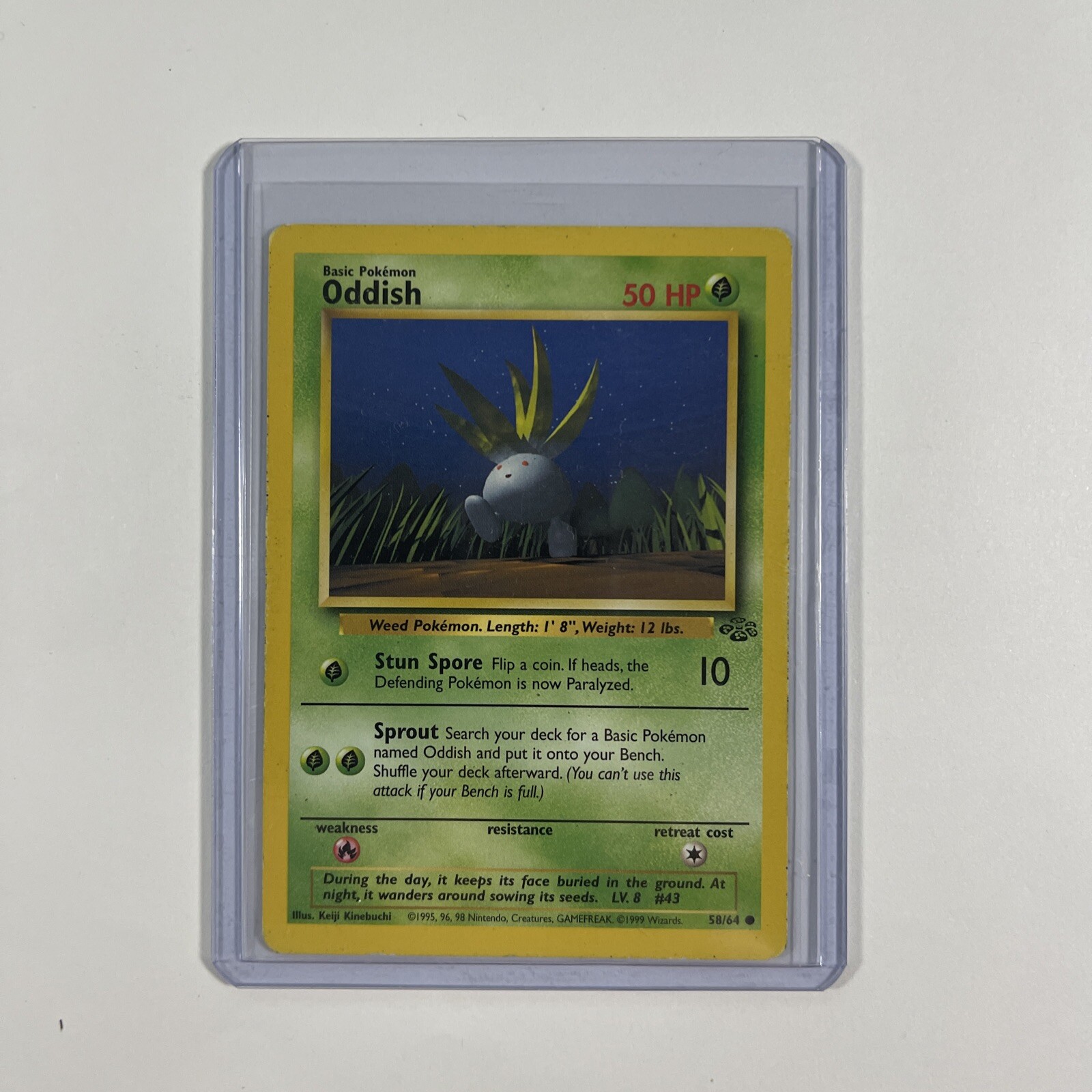 Oddish 58/64 Jungle Set Unlimited Common Pokemon Card | eBay Australia