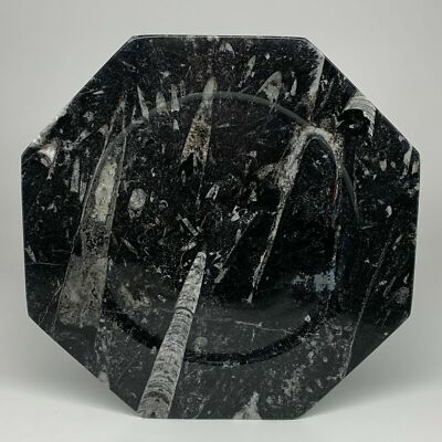 2pcs set,12" Large Octagon Shape Fossils Orthoceras Plates Black ...