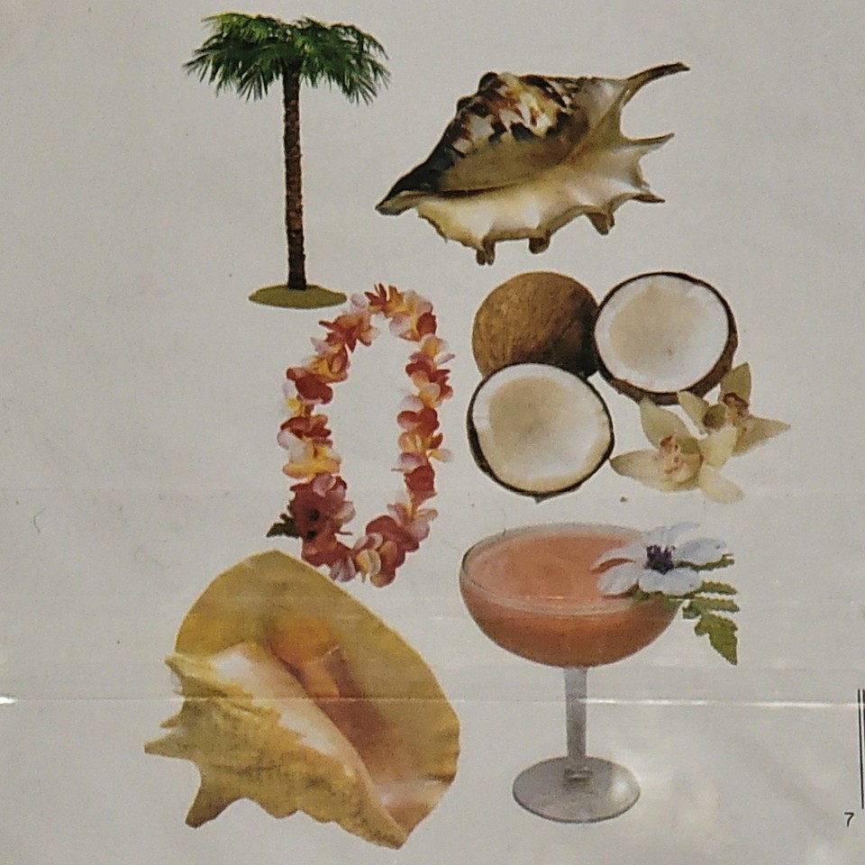 Colorbok Tropical Photo Graphics Die Cut Accents Scrapbooking ...