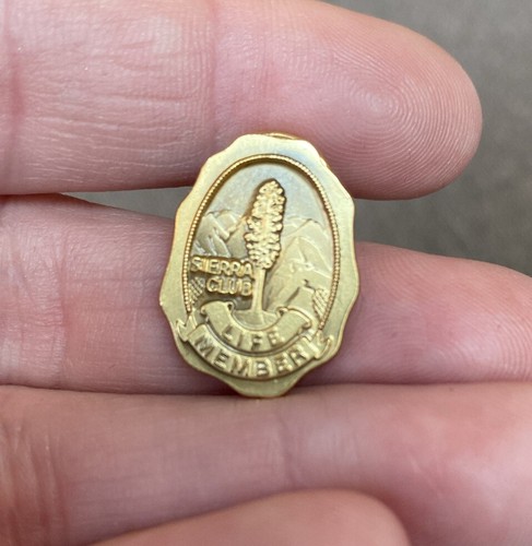 VINTAGE SIERRA CLUB LIFE MEMBER LAPEL PIN GOLD | eBay