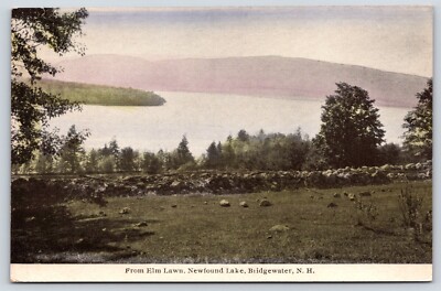 Vintage Postcard Elm Lawn Newfound Lake Bridgewater New Hampshire | eBay