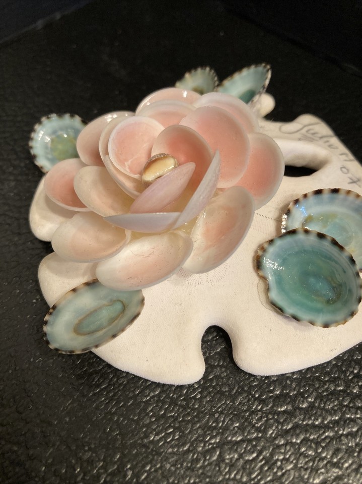 13) Vintage 07 Julio M. Meza Sand Dollar Seashell Shells Mixed Media ...