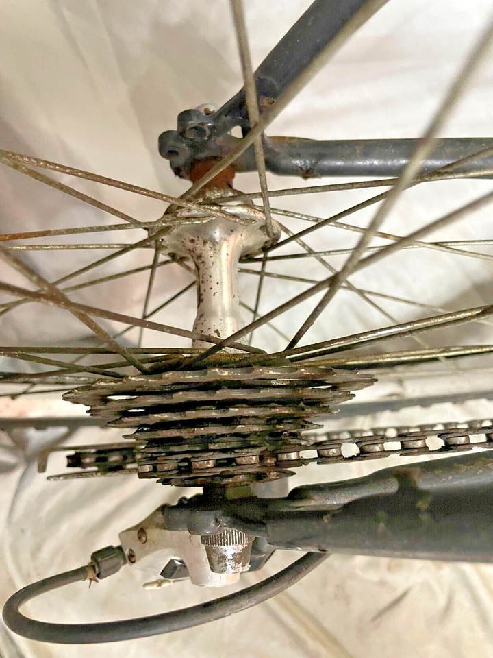 1994 Trek 820 Antelope MTB Bike 20.5" Large Hardtail Chromoly Steel USA ...