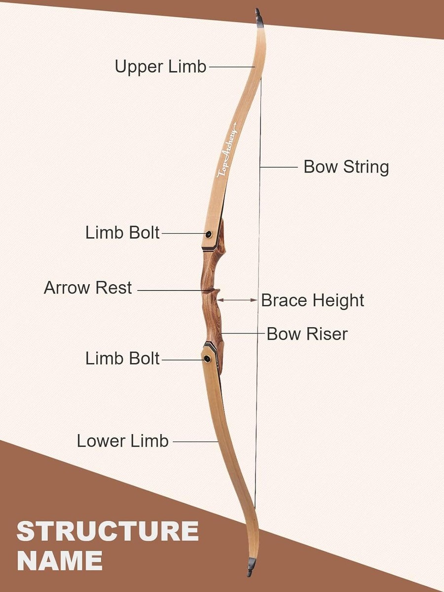 Recurve Bow Anatomy