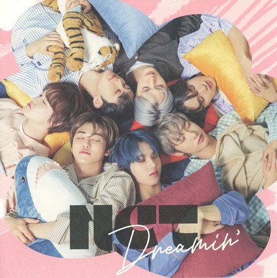 Idol Magazine Pajamas Visual Aluminium Book Nct Dream | eBay Australia