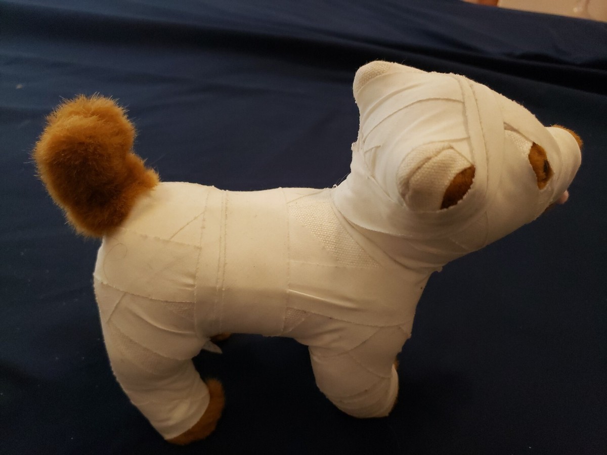 Theres Something About Mary Dog Theres Something About Mary Dog Attack