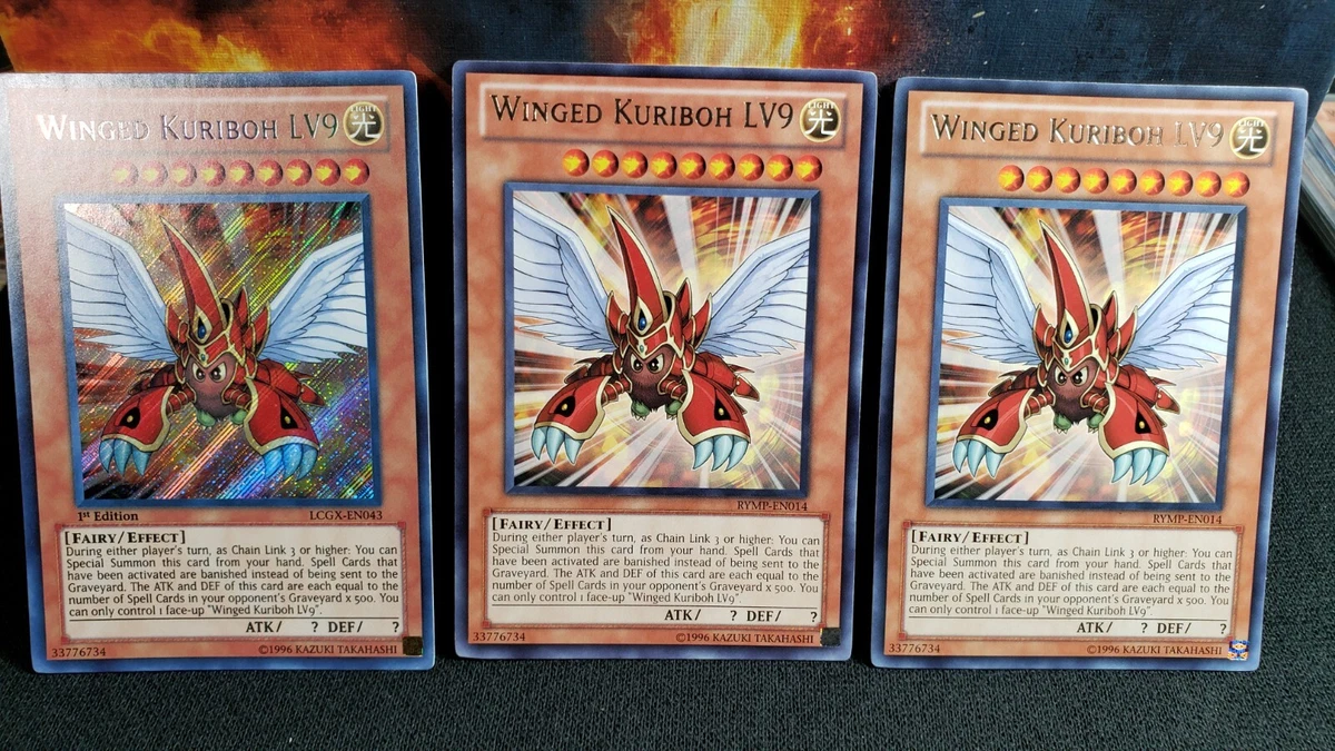Winged Kuriboh Lv9