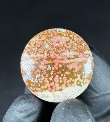 RIVER JASPER CABOCHON – Unique Orbicular Patterns Polished and Ready ...