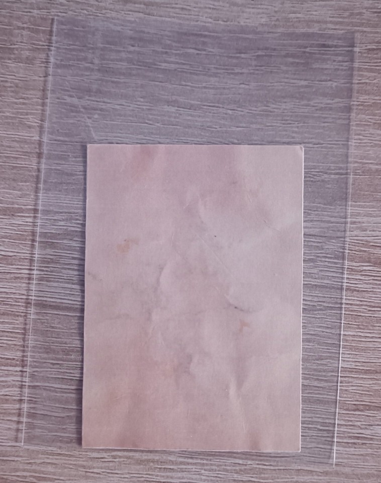 Diego Maradona Rookie Card World Cup 1978 Crack Campeonato Mundial | eBay