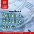 Marcel Proust - Within a Budding Grove [New ] Boxed Set 9781843796084 ...