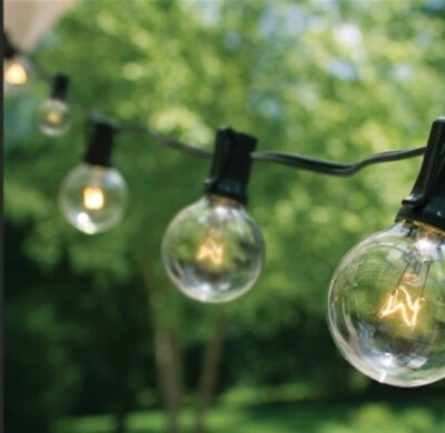Clear Bulb String Lights with White cord | eBay