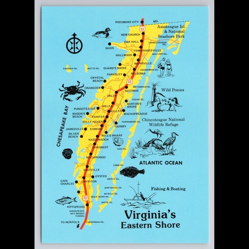Vintage Virginia Eastern Shore Postcard Map Unposted Scenic Collectible ...