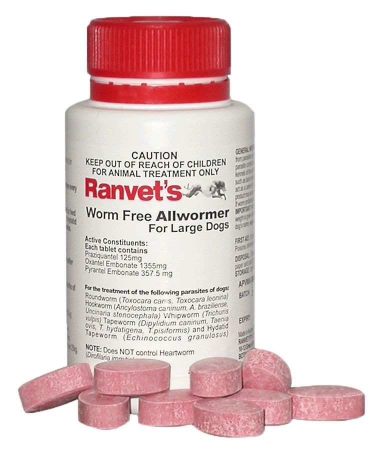Ranvet's Allwormer Tablets For Up To 25Kg Dogs 25 Tablets | eBay Australia