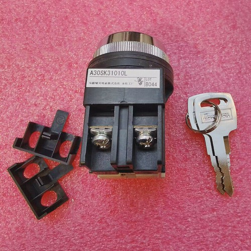 1Pce A30SK31010L Card Power Switch 10A 220-250V #F11 | eBay.de