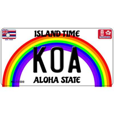 Koa Novelty Metal Key Chain KC-12599 | eBay