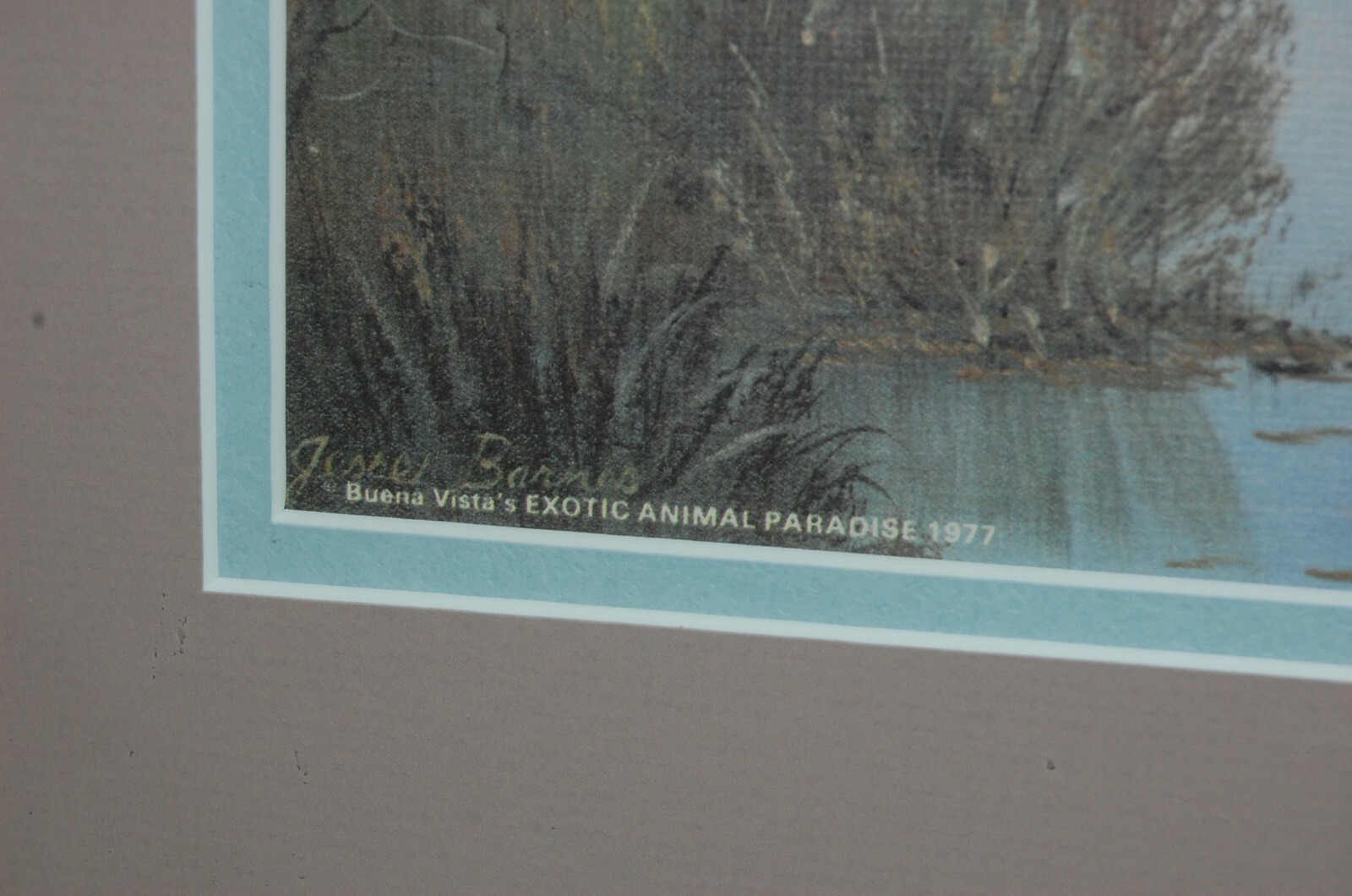 JESSE BARNS 1977 FRAMED PRINT (108) BUENA VISTA'S EXOTIC ANIMAL ...