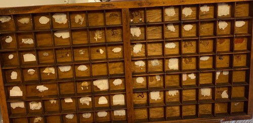 Vtg Printers Drawer Letterpress Type Set Tray Wood Shadow Box 32 x 16 ...