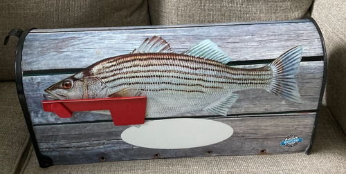 Striped Bass themed graphic mailbox Saltwater fishing | eBay