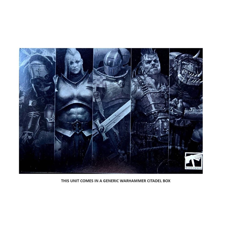 Poxbringer Daemons Of Nurgle Warhammer 40K Age Of Sigmar | eBay