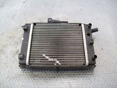 RADIATOR FOR KYMCO GRAND DINK 250 FROM 2002 (e23680) | eBay Australia