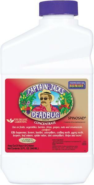 Bonide Captain Jacks Deadbug Brew Liquid Concentrate Insect Killer - 32 ...